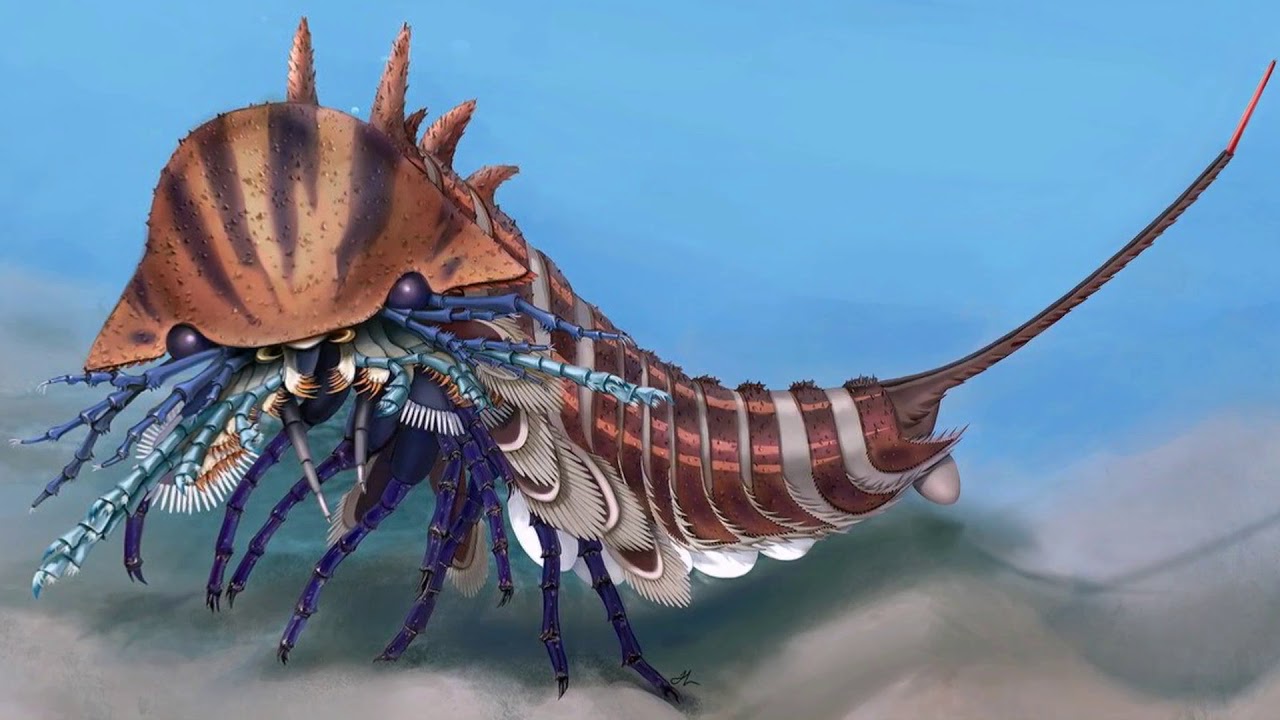 Опаснейшего хищника возрастом полмиллиарда лет показали миру: видео - ХВИЛЯ