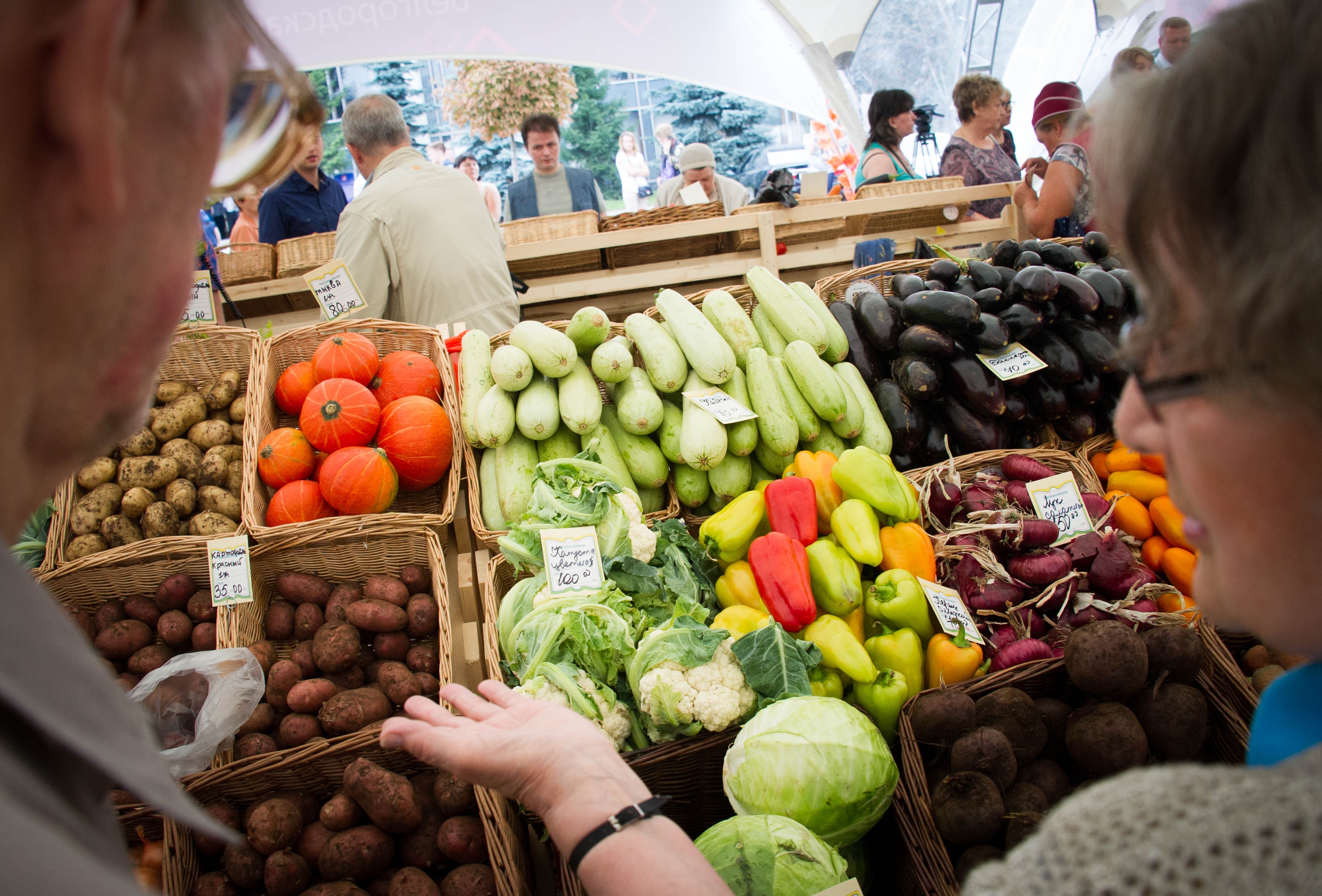 Цены на продукты в Украине огурцы резко подорожали