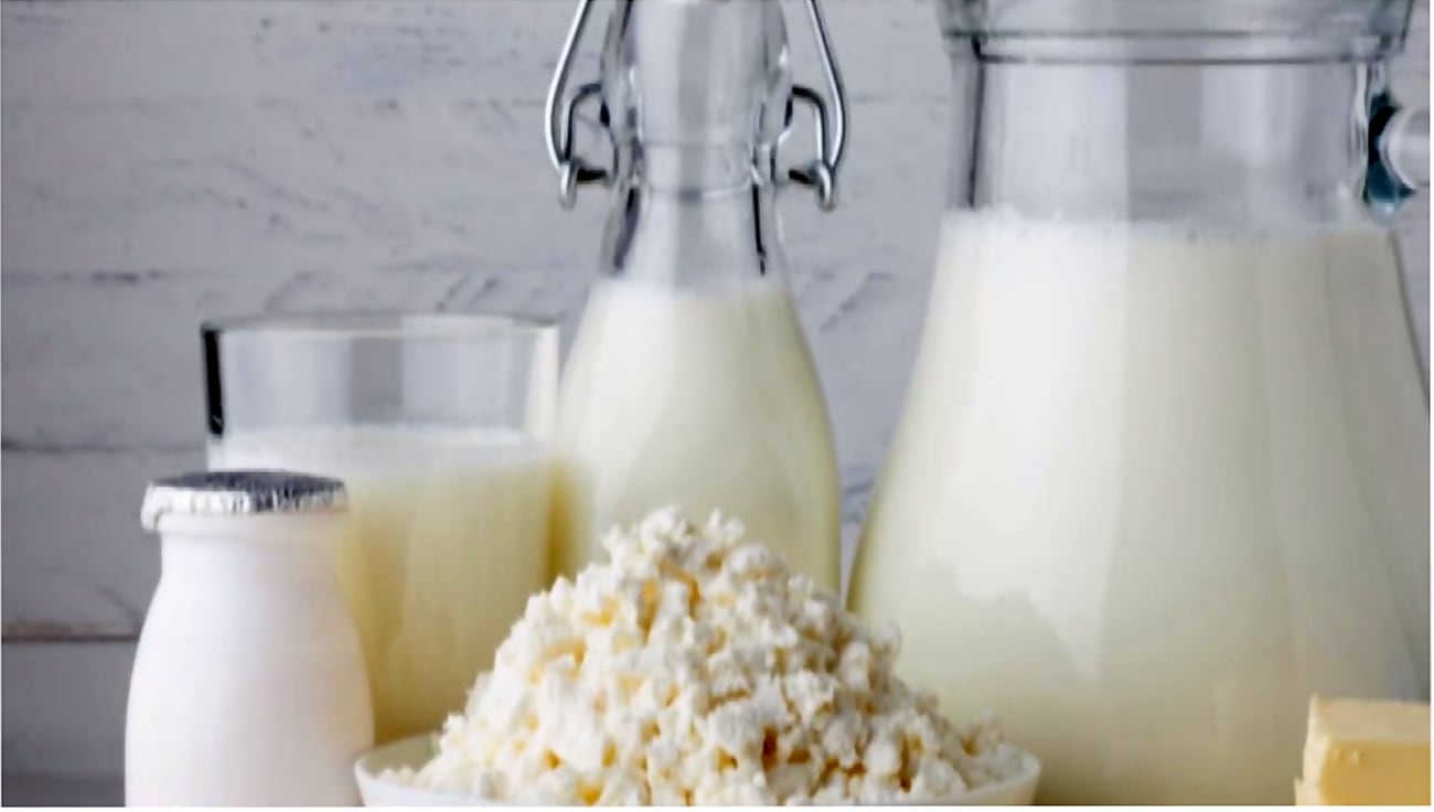 Цены на молочные продукты: сколько стоит молоко, сметана и творог в ...