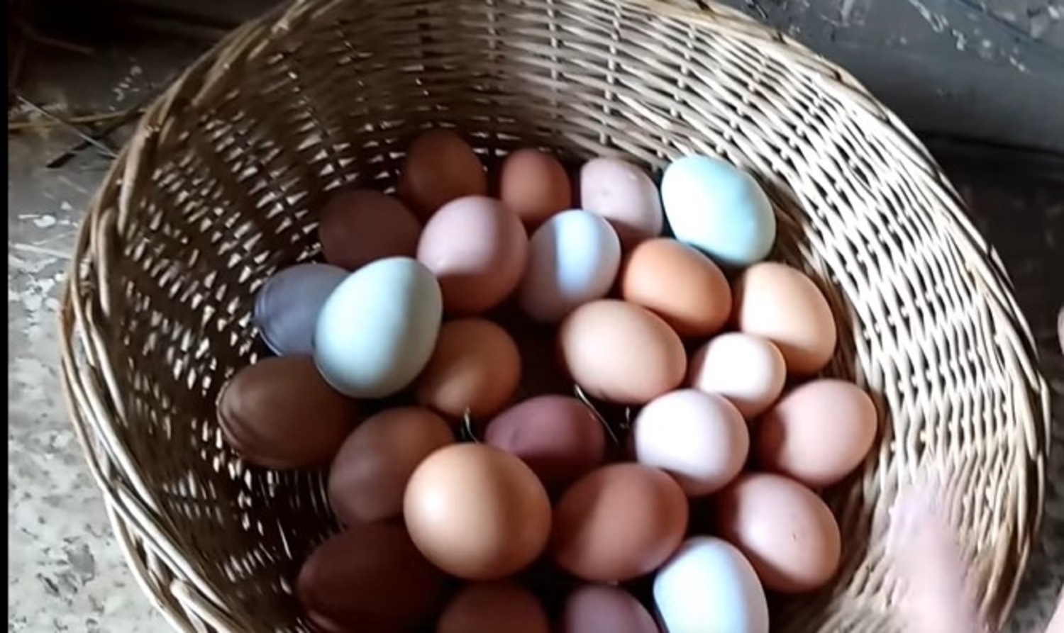 Цены на продукты: стоимость яиц продолжается удерживаться на уровне ...