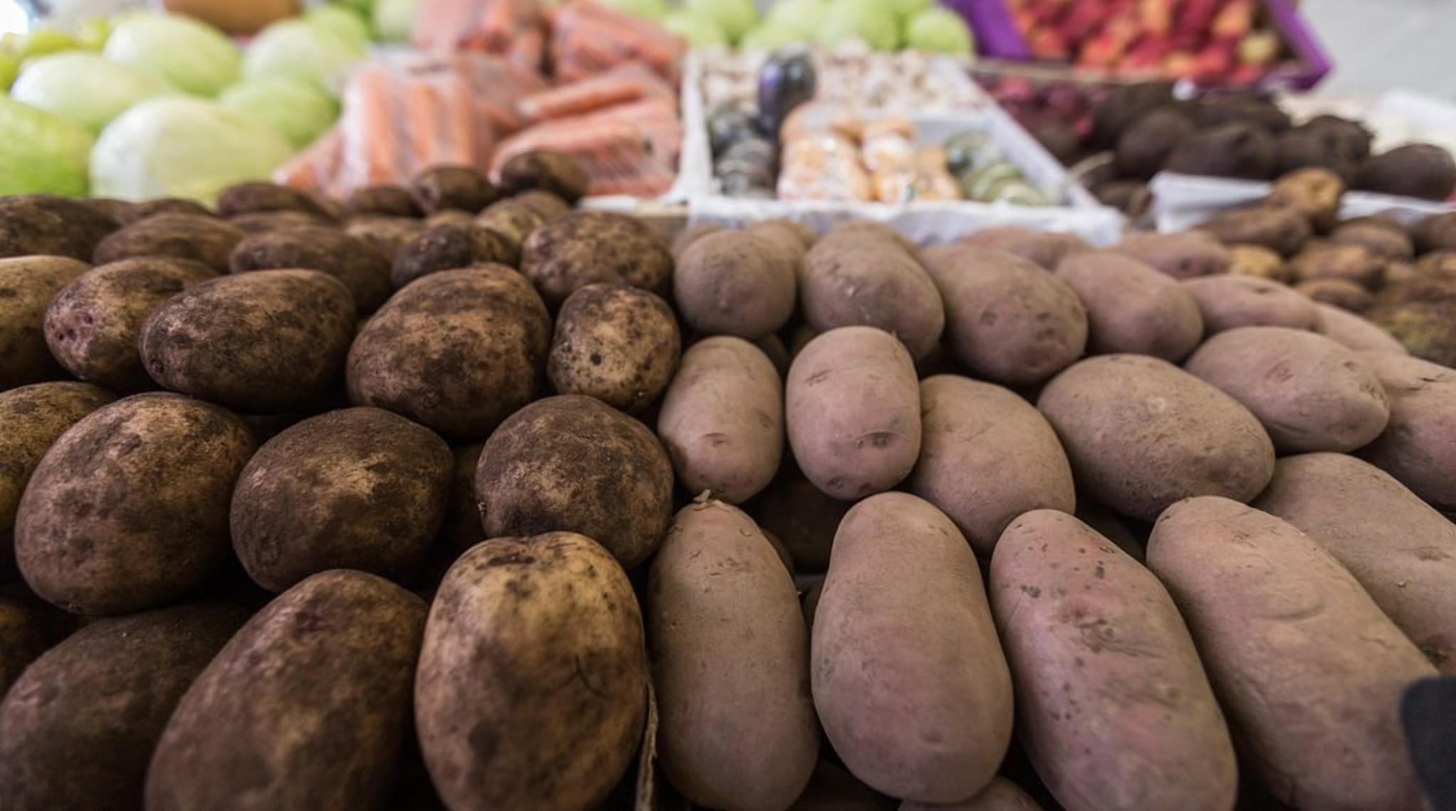 Купить продукты в Украине как изменились цены на картошку за месяц и