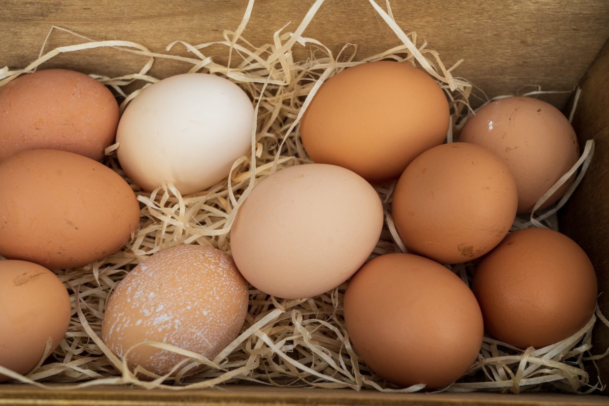 Купить продукты в Украине: как отличаются цены на яйца в супермаркетах ...